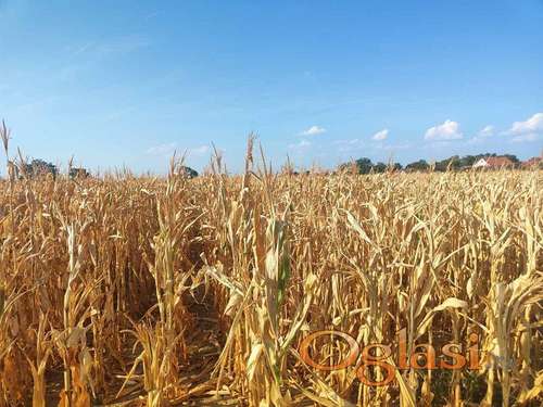 Odličan plac za porodičnu kuću
