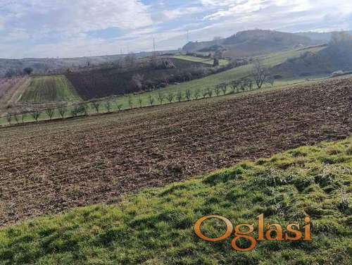 Poljoprivredno zemljište u zoni Sremskih Karlovaca!