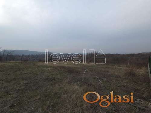 PETROVARADIN - ALIBEGOVAC - 1308.00 m2