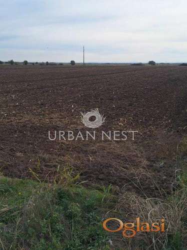 Ugrinovci, atraktivno zemljište 2,27 ha