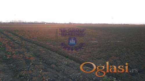 Građevinsko zemljište, front 43 metra
