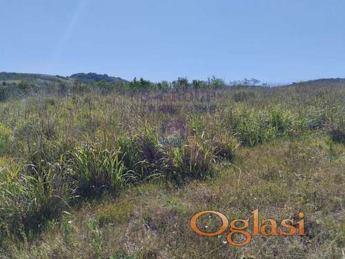 Beočin plac 7205m2 .