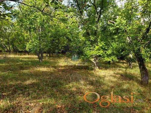 Plac 13476m2 Sremski Karlovci