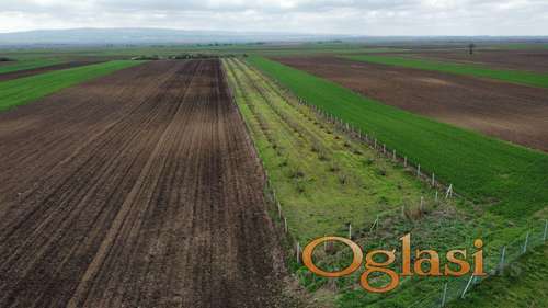 Budisava, Poljoprivredno zemljište 5.757m2 HITNO!