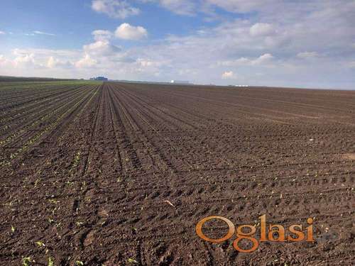 512910-Poljuprivredno zemljiste-28550m2-Industrijska zona