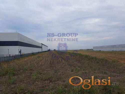 562651-Plac-13243m2-Indjija