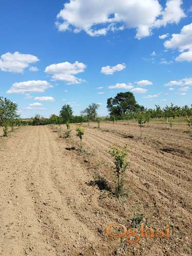 Idealan plac ,izuzetna lokacija ...