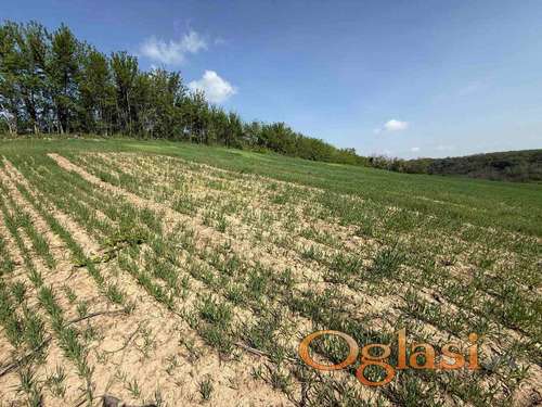 Na prodaju plac na Maradiku. 1261m2.