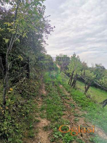 PRODAJA PLACA U SREMSKIM KARLOVCIMA