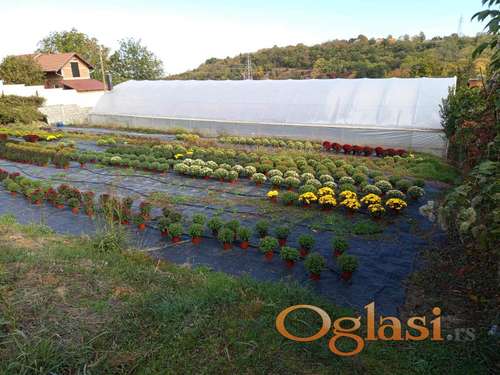 PRODAJA ZEMLJIŠTA U GRAĐEVINSKOM PODRUČJU, SREMSKA KAMENICA