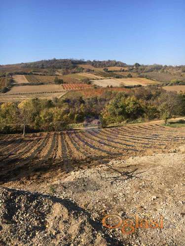Poljoprivredno zemljište u Sremskim Karlovcima. Površine 2972m2, njiva 5.klase.