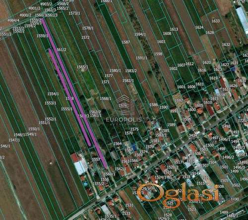 Plac od 82 ara u Dobanovcima – građevinsko područje ID#8793