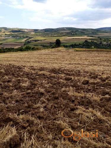 Sviloš polj. zemljište 4757m2 potes Mačkovac HITNO!