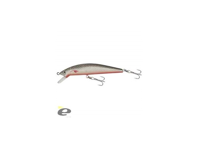 GOLD STAR MINNOW boja 1