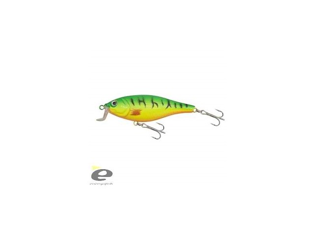 GOLD STAR FAT SHAD boja 1