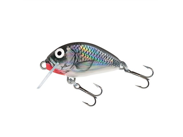 SALMO TINY dekor BT