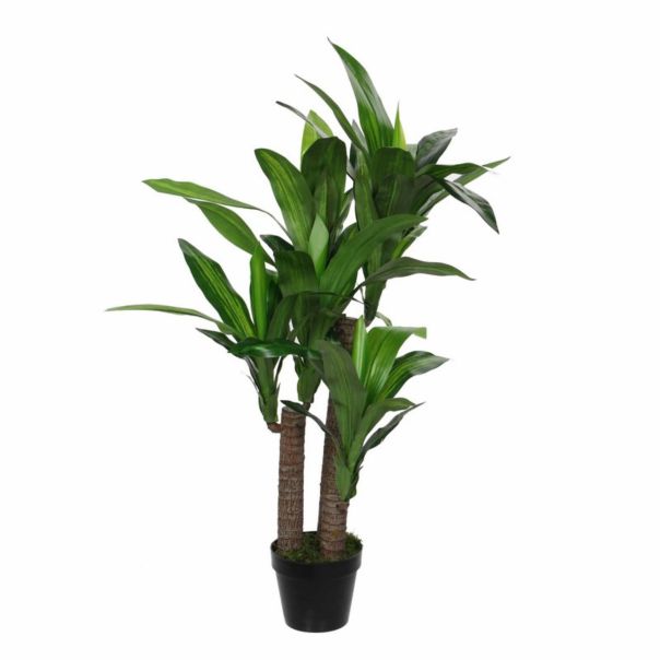 DEKOR DOM Drvo u saksiji DRACAENA 150cm 1102068 - EDL