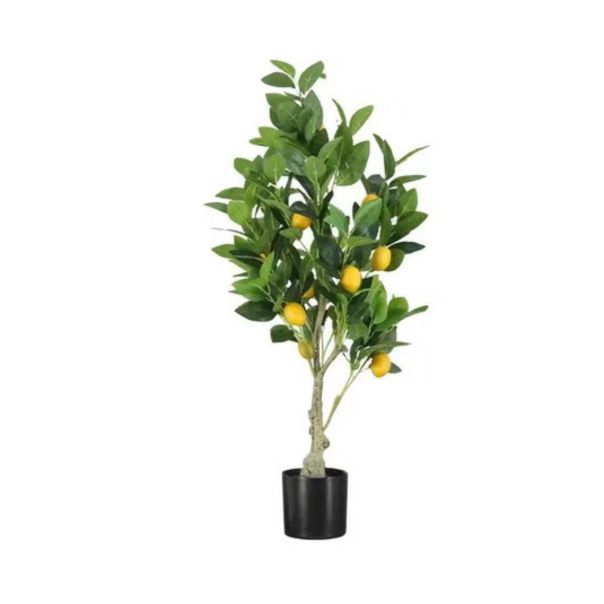 DEKOR DOM Drvo LEMON - 150cm - N55