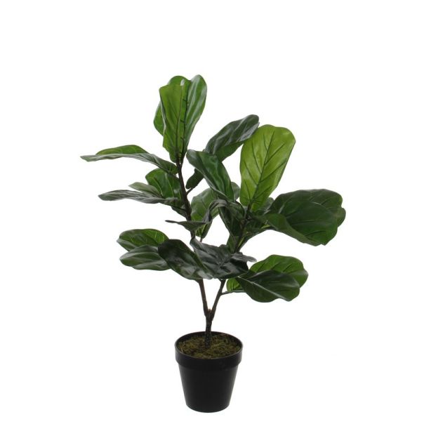 DEKOR DOM Cvet u saksiji FICUS LYRATA 75cm 1040426 - Green - EDL