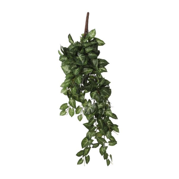 DEKOR DOM Cvet SYNGONIUM 54cm 1074947 - Green - EDL
