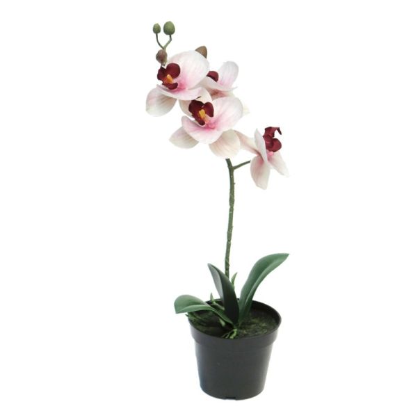 DEKOR DOM Cvet u saksiji ORCHID 35cm 51345-7 - Pink - NNT