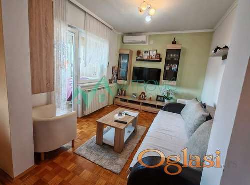 NOVI SAD, NOVA DETELINARA, PET FRIENDLY