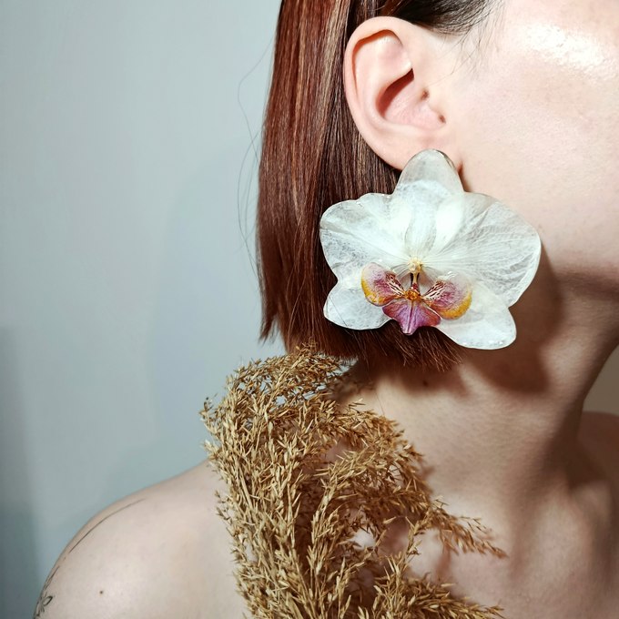 Alba Bloom