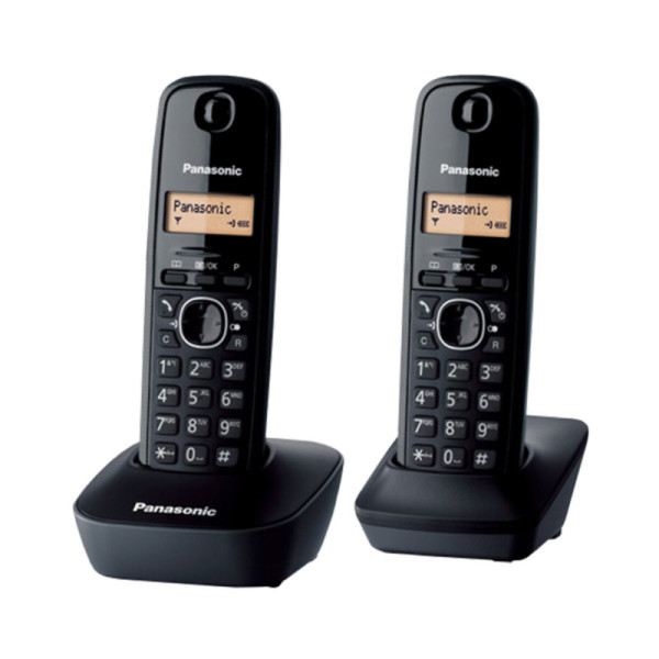 Panasonic KX-TG 1612