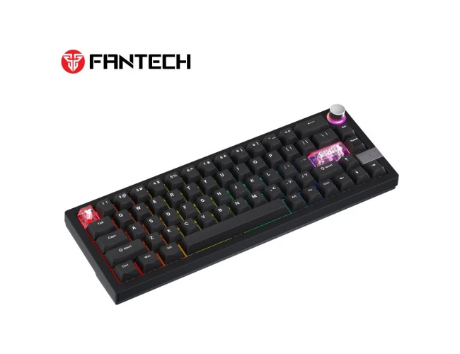 Fantech MK920 RGB Maxfit 6 (white switch) mehanička bežična gejmerska tastatura crna