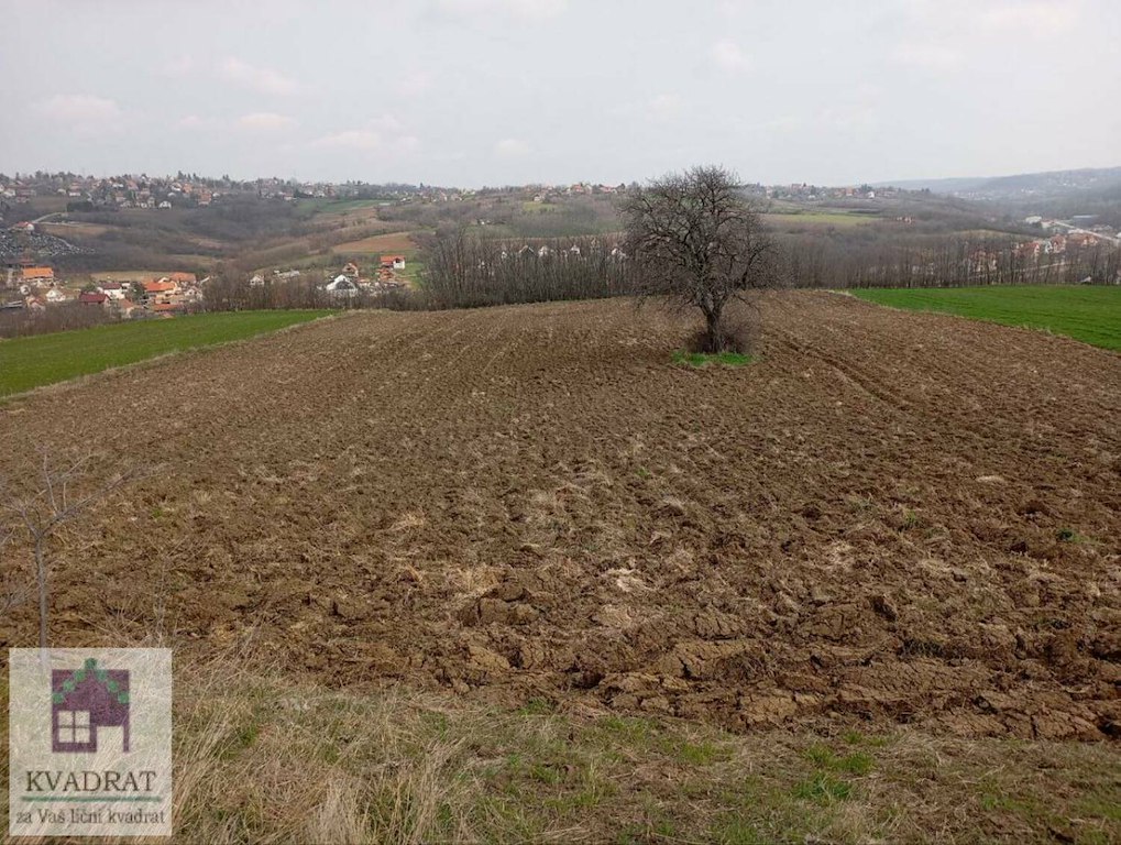Plac, Beograd – Barič | Prodaja · 22.000€