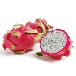 Dragon fruit RED - zmajevo voće crveni (50 semenki)