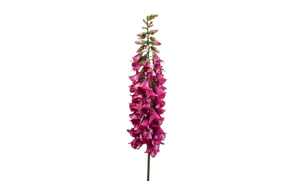 Veštačka biljka digitalis 120cm