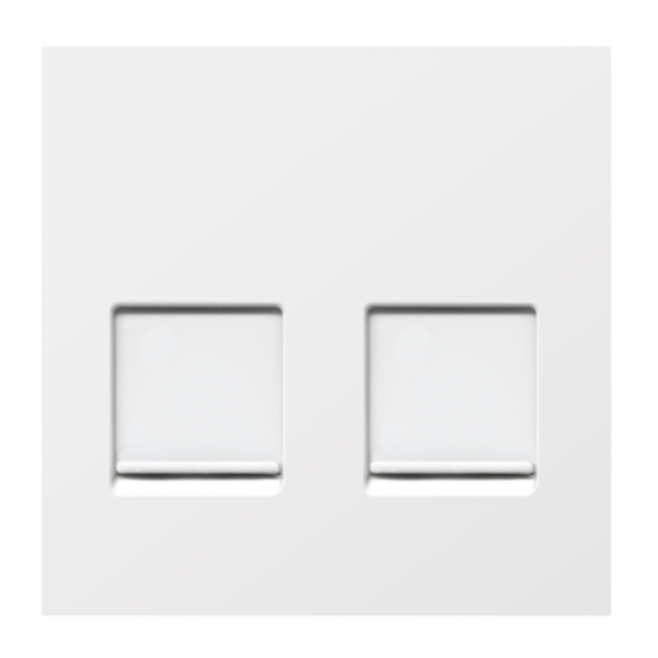 2350.0 Nosač komunikacijskog modula 2 x Keystone, modul BELI ALING 45 - za parapet