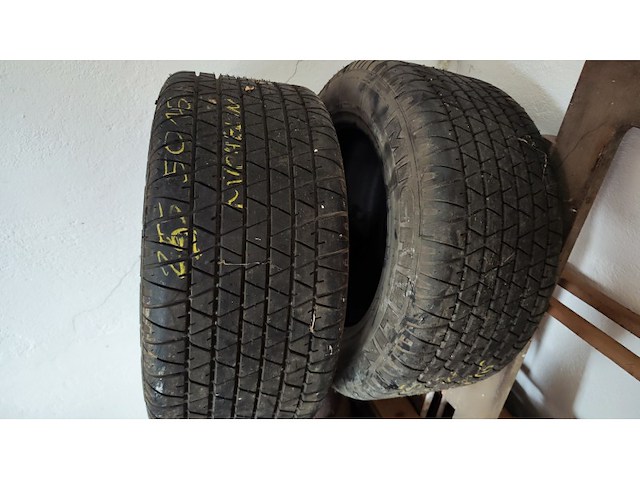 Gume Michelin 255-50 zr 16