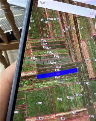 Prodajem 48 ari zemljista u KO Gornji Bunibrod