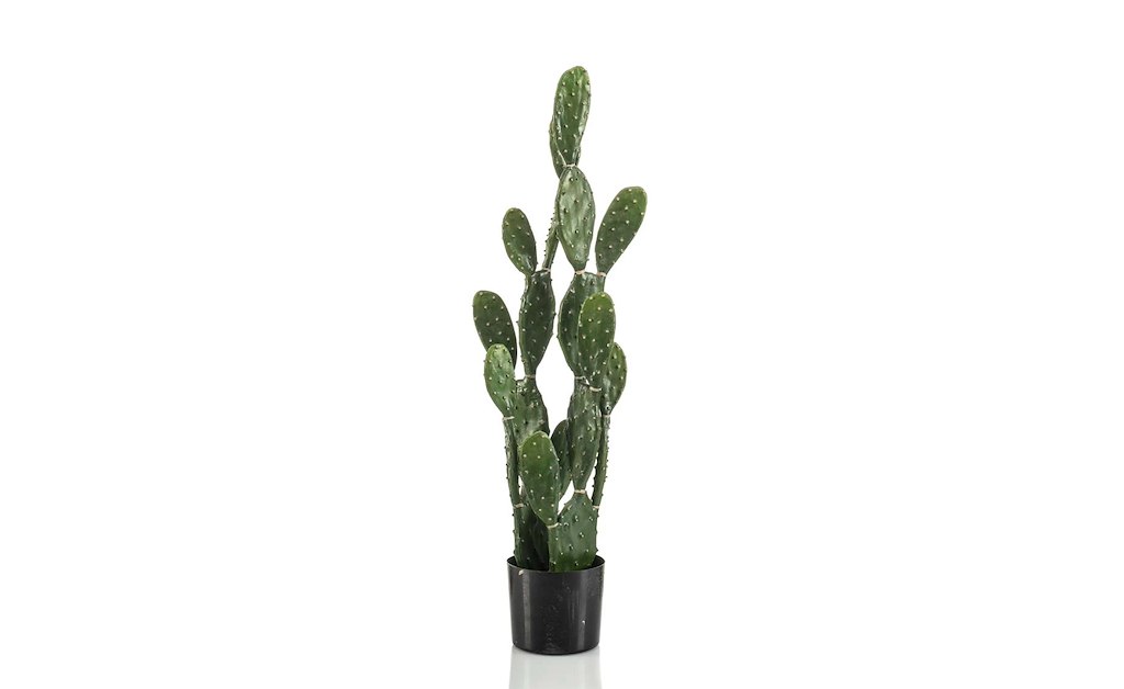 Biljka u činiji Cactus 100cm