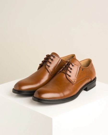 Kožne muške elegantne cipele 3480-06 braon