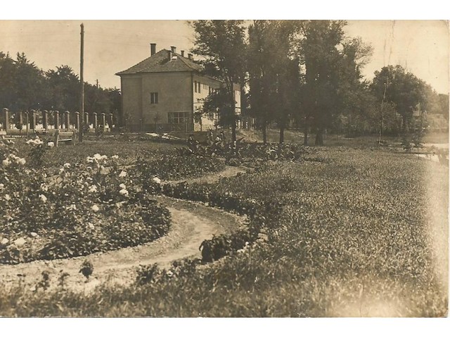 BACKA TOPOLA ,putovala 1952.