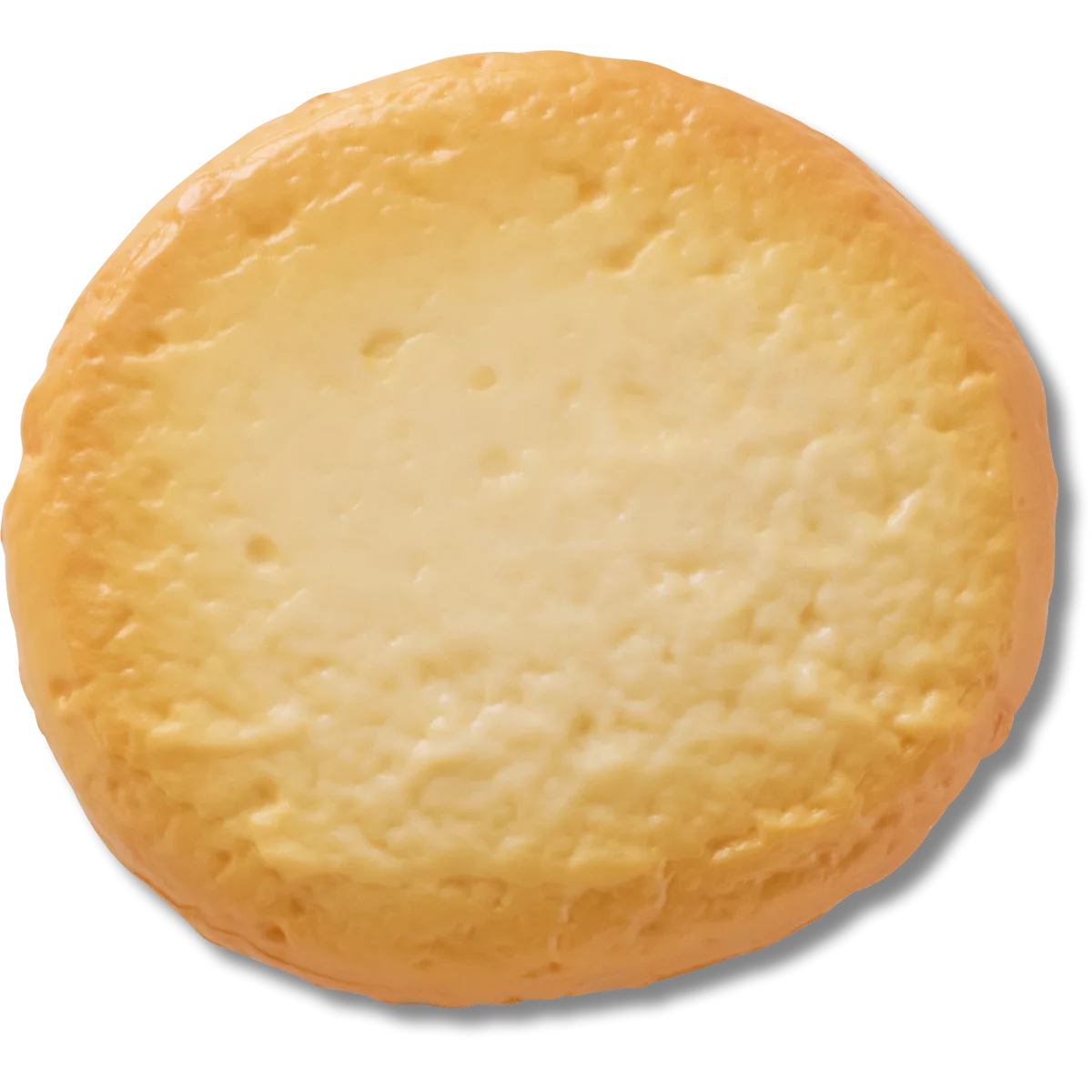 Realistic Cookie 1