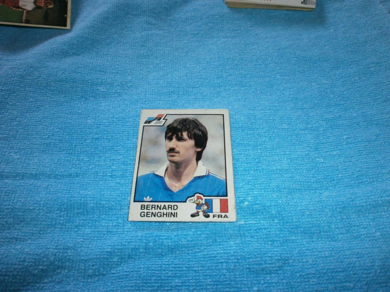 EURO 84 DEČJE NOVINE PANINI ŽIVA SLIČICA BR. 47