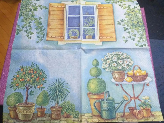 Salveta sa jednom velikom slikom 33 x 33