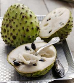 Annona Cherimola (5 semenki) Aromatic Custard Apple