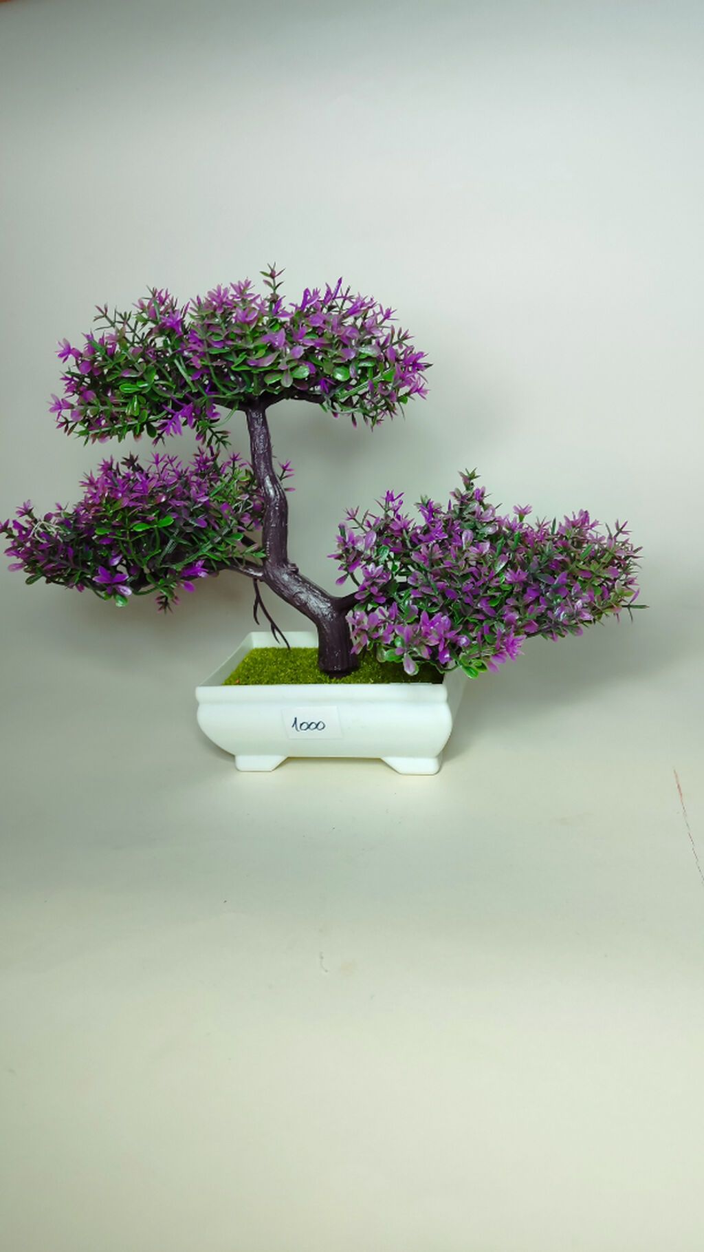 Dekorativno bonsai drvo u saksiji - Realistična bonsai kompozicija sa