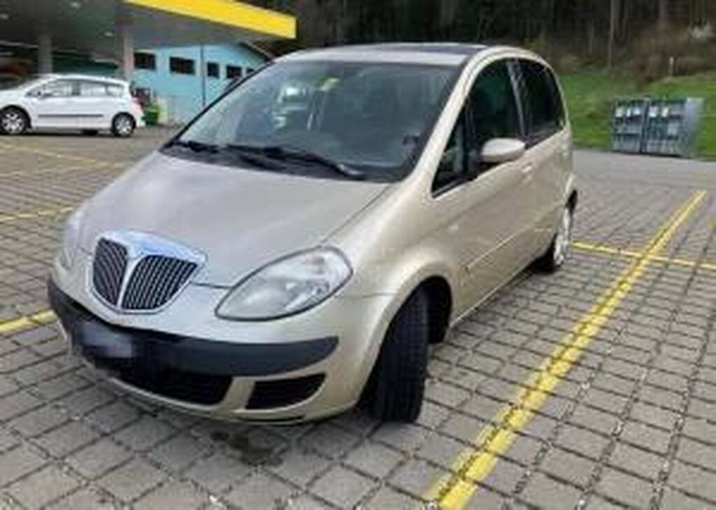 Lancia musa levo krilo. Lancia musa levo kriloOriginalni delovi Alfa