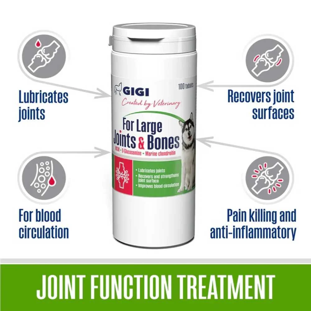 GIGI Large Joints&Bones za zglobove 100 tableta
