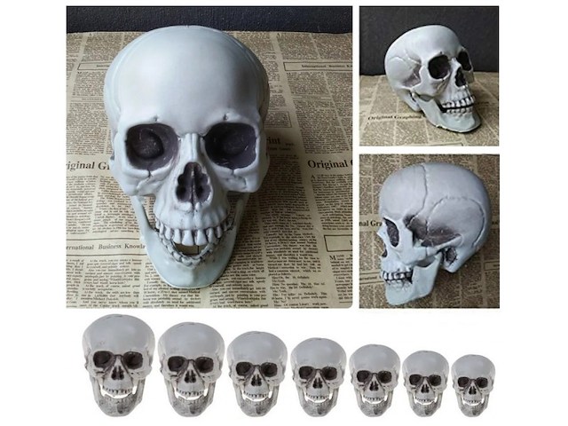 Lobanja Kostur Skull Dekoracija Halloween Model 1