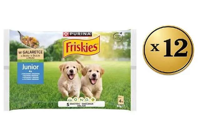 Friskies Vlažna hrana za pse junior dog prelivi u želeu Meso, 48x85g