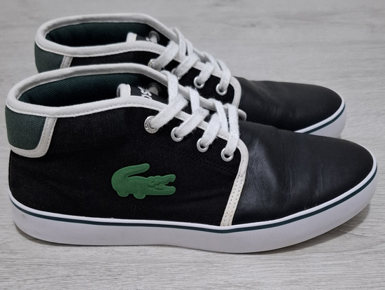 Lacoste patike - original