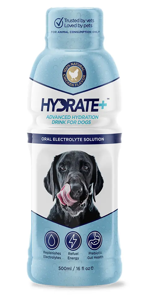 ORALDE Napitak za pse Hydrate Plus Dog - 0,5l