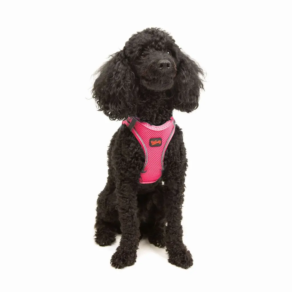 Paws & Whiskers Am za pse Air-Mesh, Roze